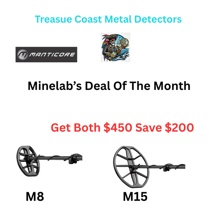 Buy Metal Detectors Online – Hobby, Beach & Security Use